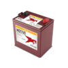 Trojan T875-AES Deep-Cycle AGM Battery - Advantage Batteries